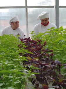 The Drew Mathieson Greenhouse - Bidwell Training Center